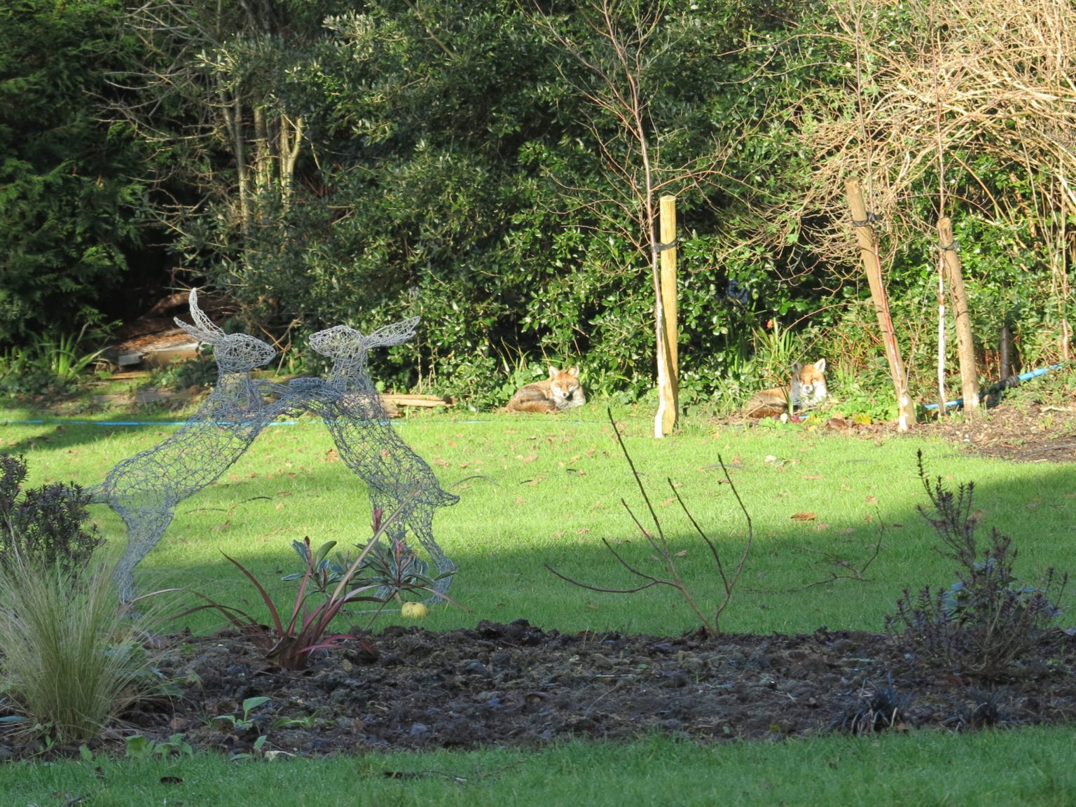 Wire hare sculptures | Di Spalding - Scenic Artist