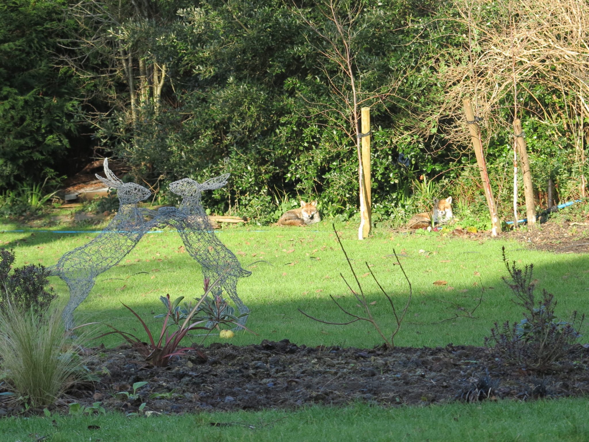 Wire hare sculptures | Di Spalding - Scenic Artist